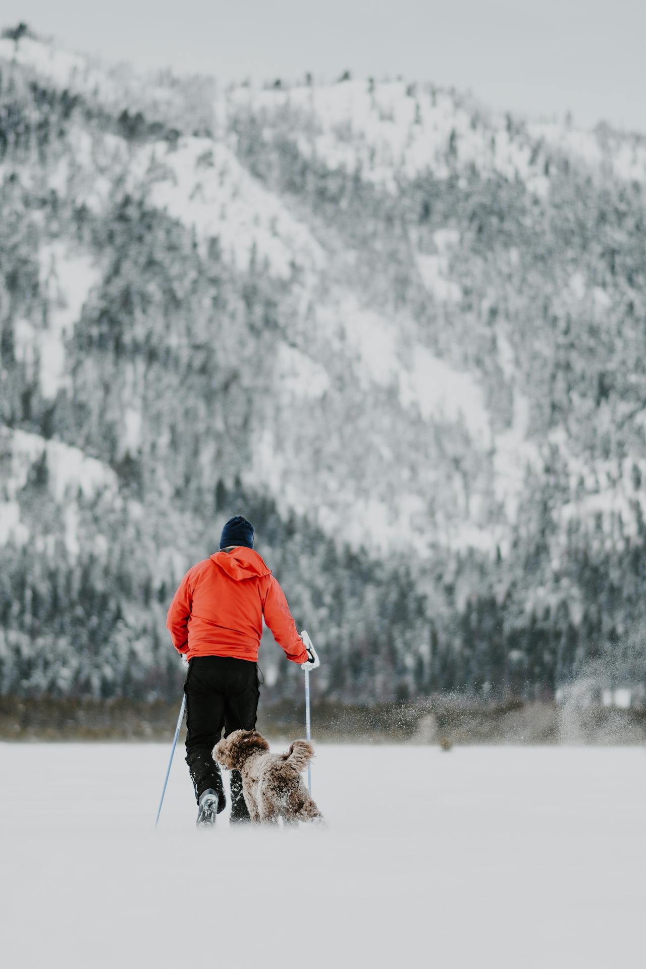 Den perfekte aften med sauna, langrendsski og gode venner - Langrendsski